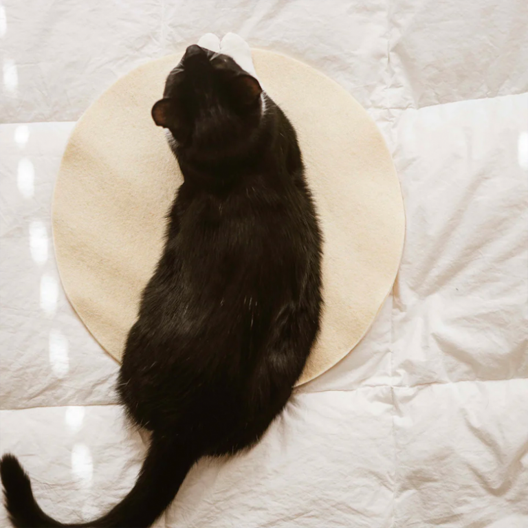 100% Pure Wool Cat Mat | TTPM